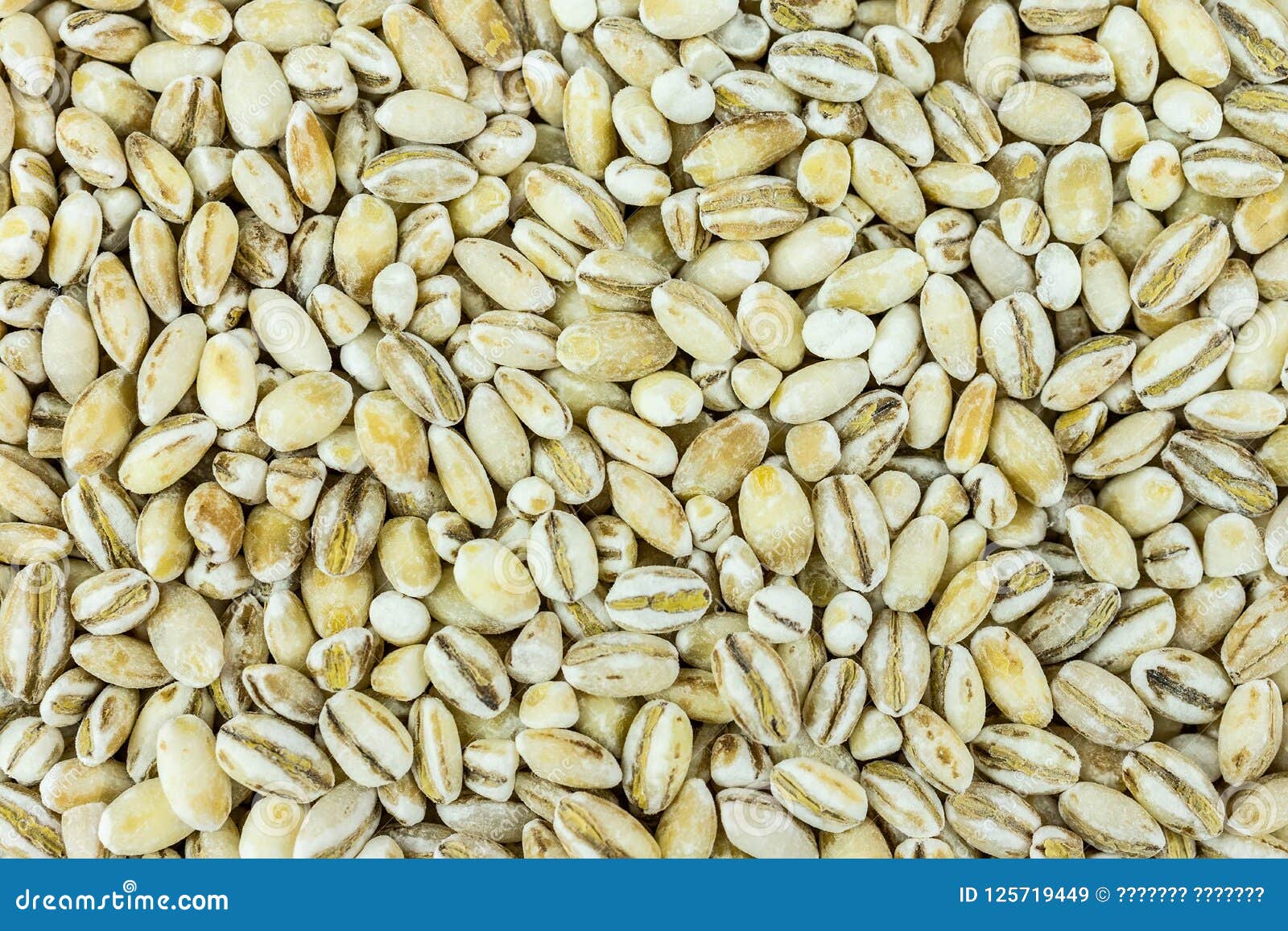 Background of Pearly Grains Stock Image - Image of nutritious, healthy ...