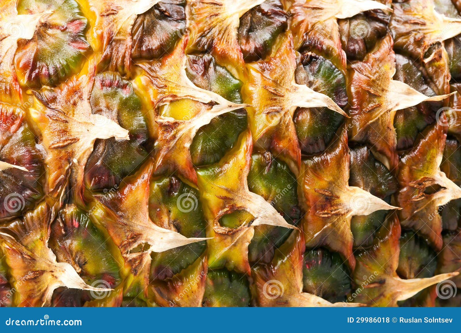 Pineapple Close Up In Tropical Restaurant Royalty-Free Stock ...