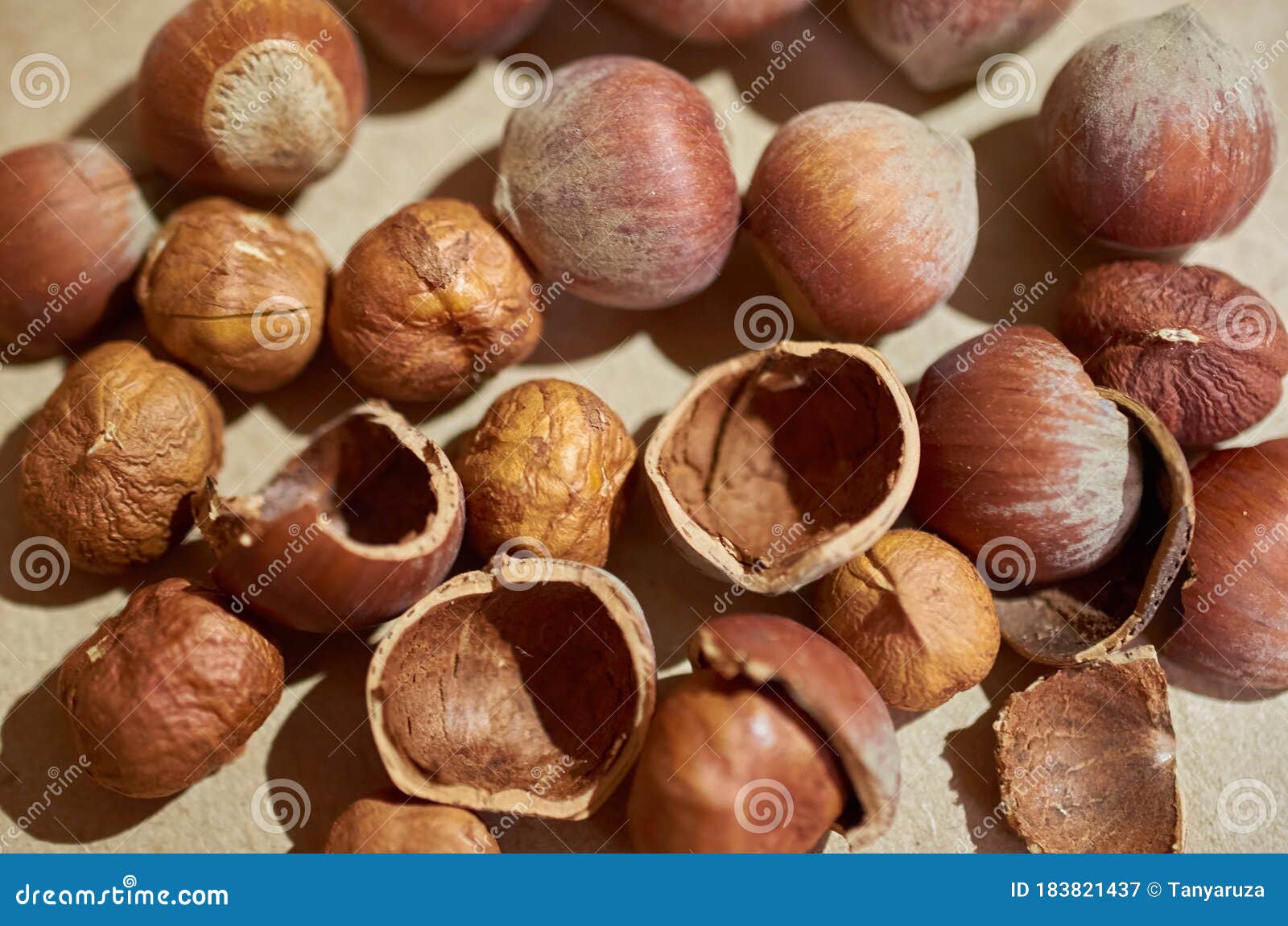 Background of Peeled Hazelnut Kernels and Shells and Whole Nuts Stock ...