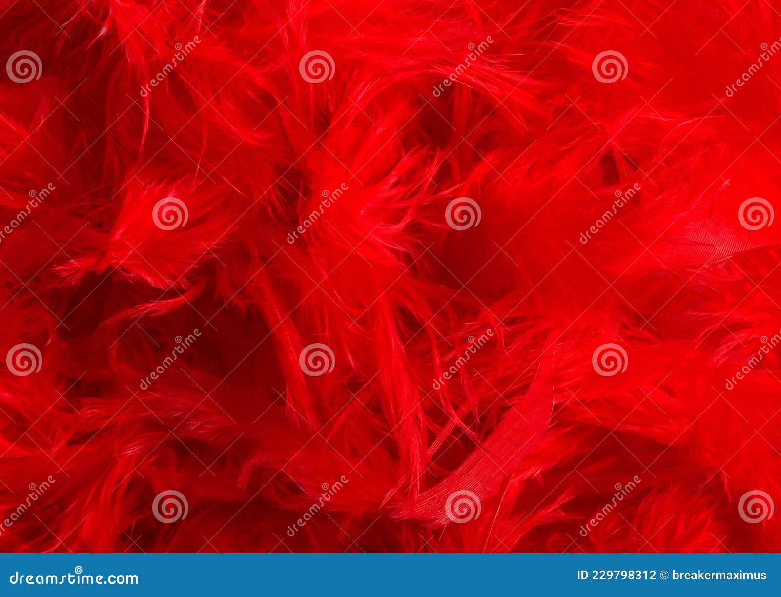 Red Feather Texture Background Photo Stock Photo - Image of luxury ...