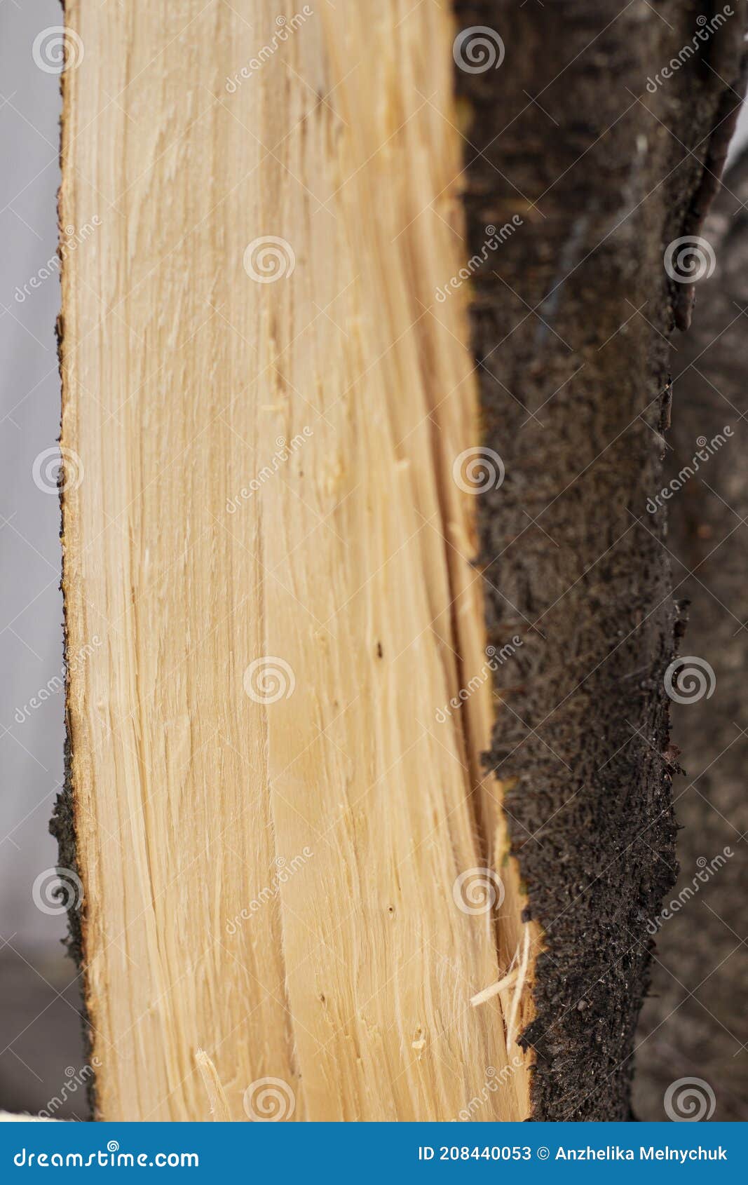 Background Picture Sawn Wood Texture Stock Image - Image of sawing ...