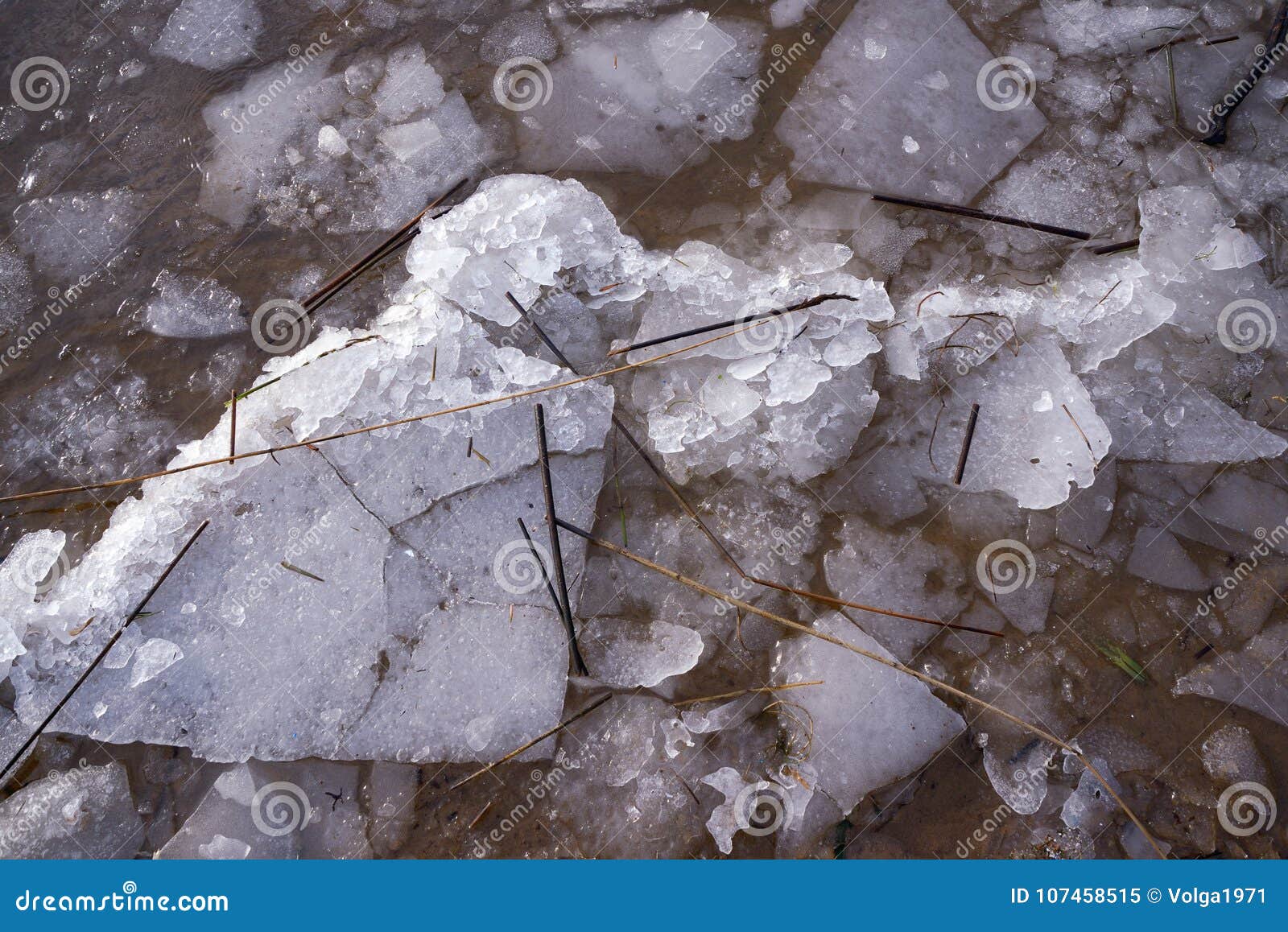 Background of Pieces of Melting Ice Stock Image - Image of spring ...