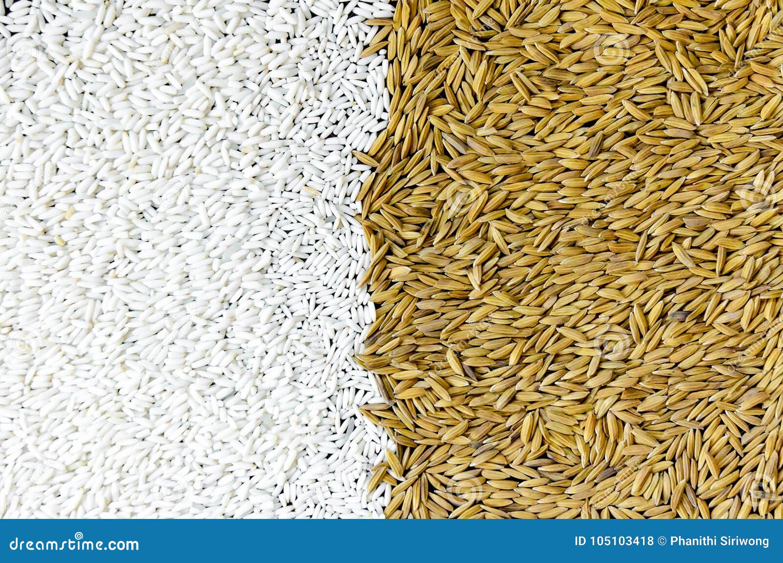 Background from Pile of Paddy Rice and and Rice Seed Stock Photo ...