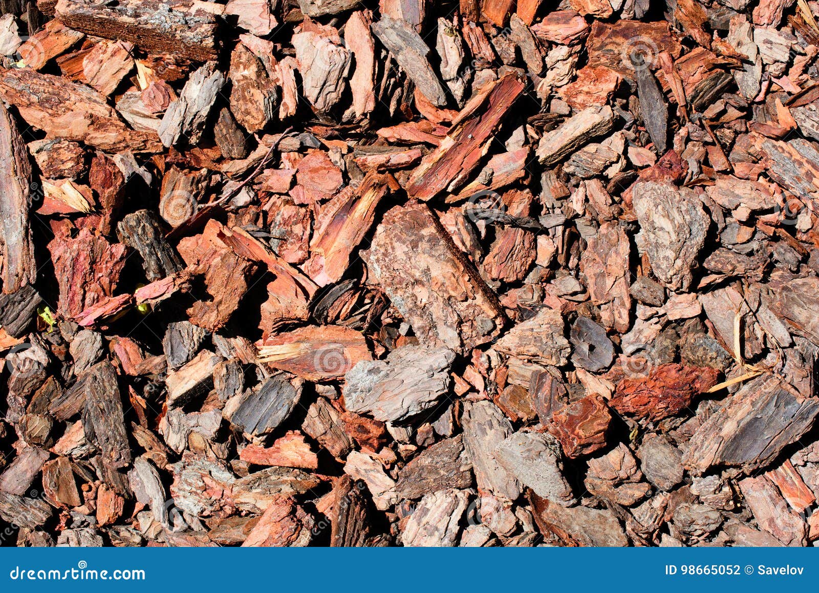 A Pile Of Pine. Royalty-Free Stock Photography | CartoonDealer.com ...