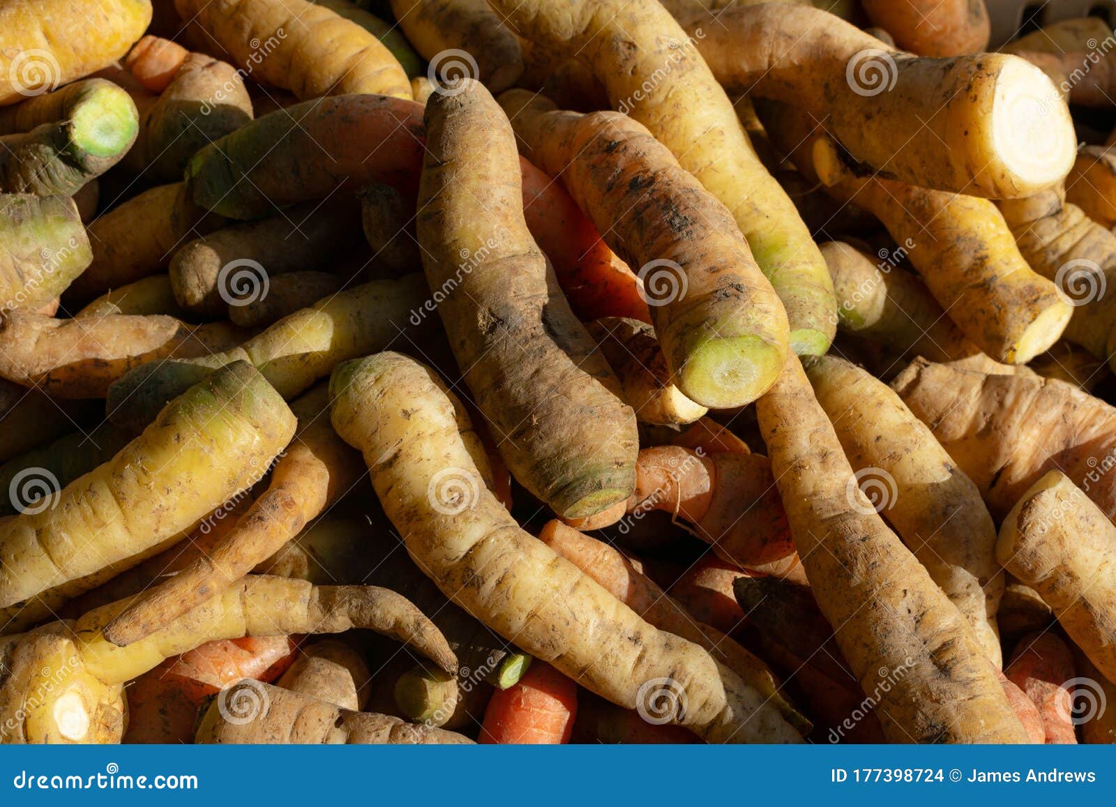 Background of a Pile of Rustic Carrots Stock Photo - Image of group ...