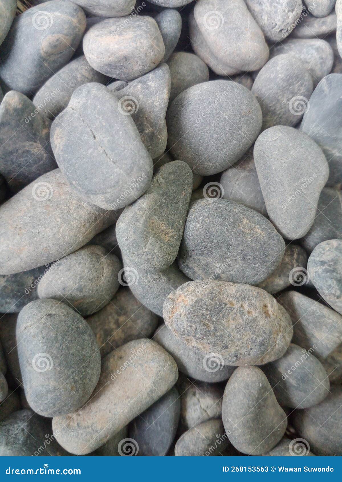 Background of Piles of Coral Stones in a Garden Stock Image - Image of ...