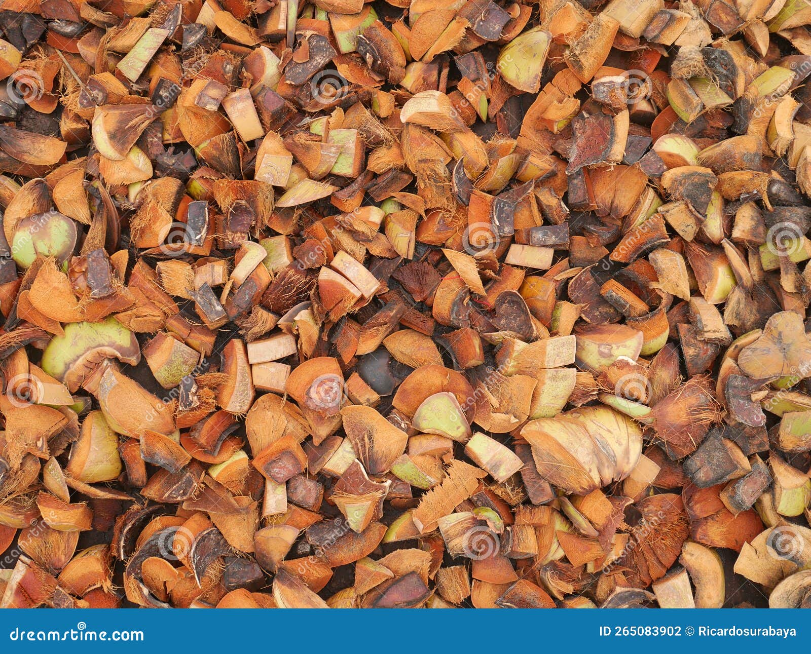 Tropical Coconut Skin Background for Digital Use Stock Photo - Image of ...