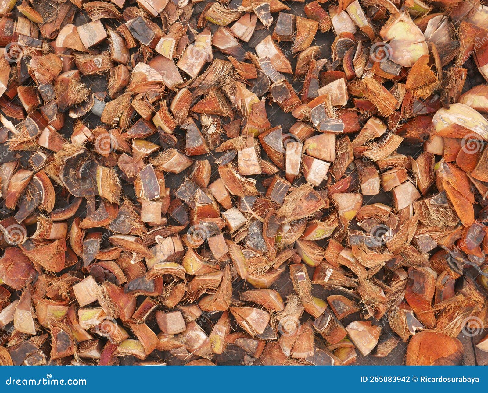 Tropical Coconut Skin Background for Digital Use Stock Photo - Image of ...