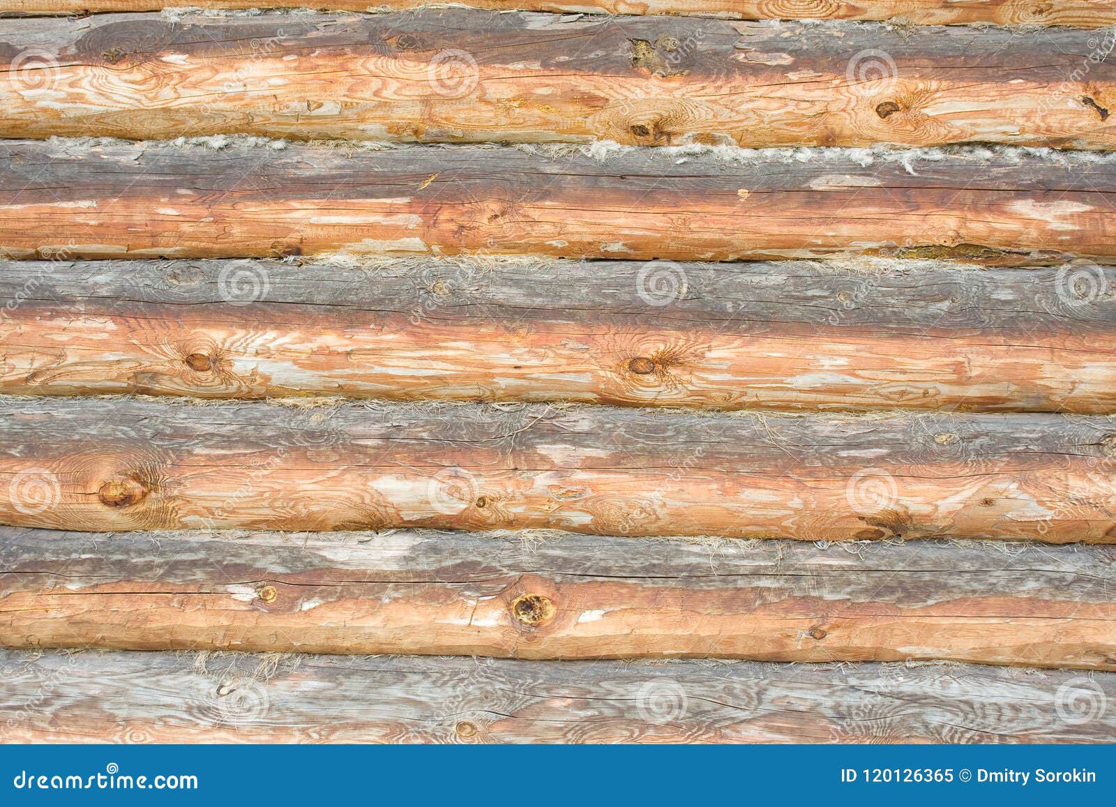 Background of pine logs stock image. Image of dirty - 120126365