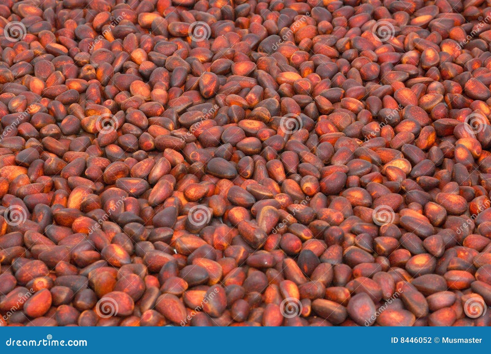Background of pine nuts stock photo. Image of product - 8446052