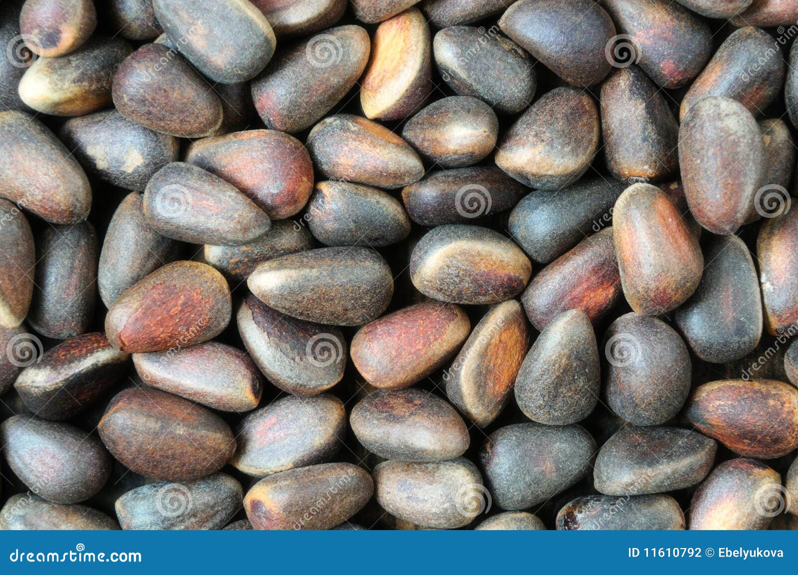 Background with Pine Nuts. Close Up. Stock Photo - Image of detail ...