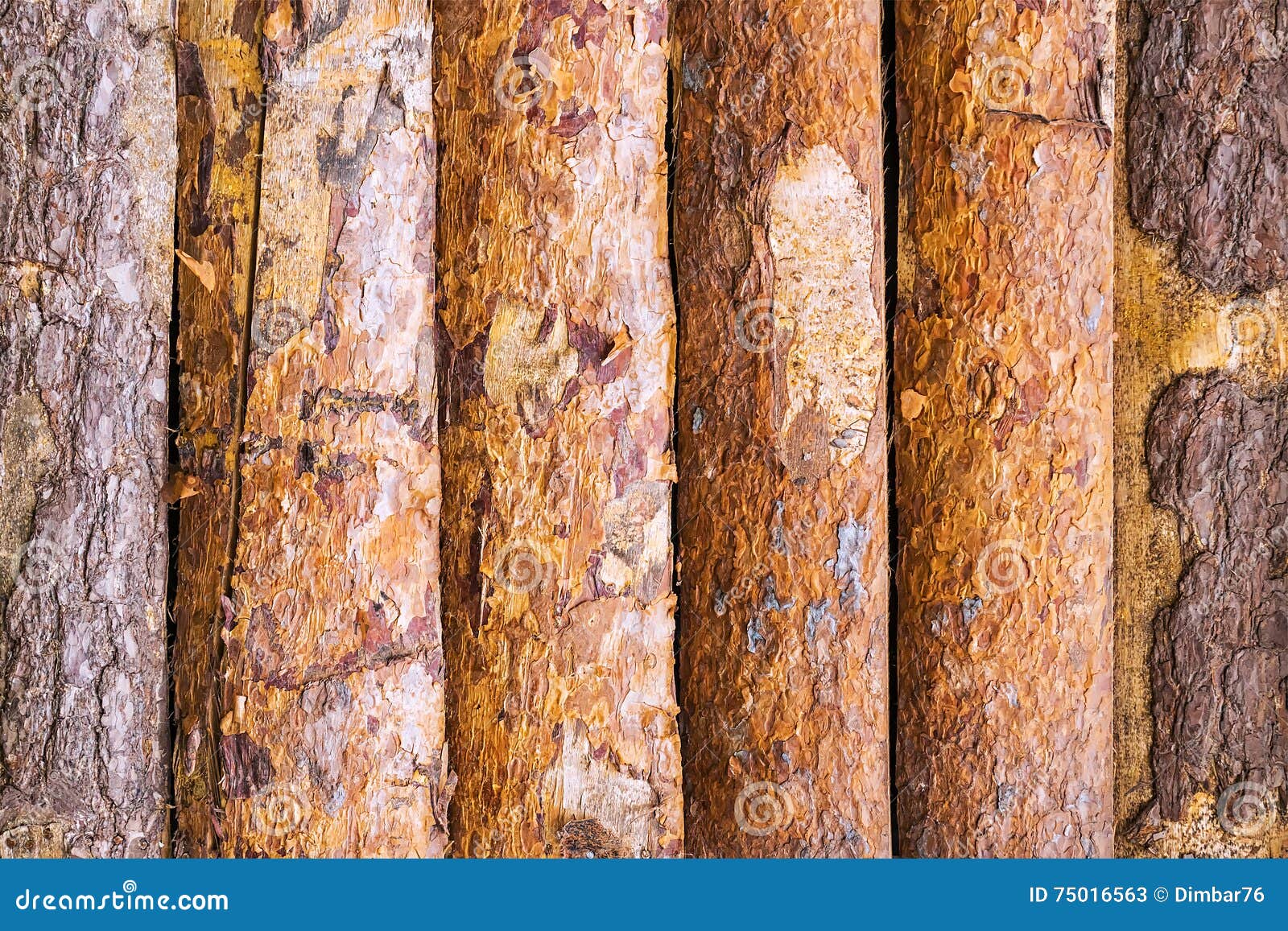 Background of Pine Slabs with Bark Stock Image - Image of closeup ...