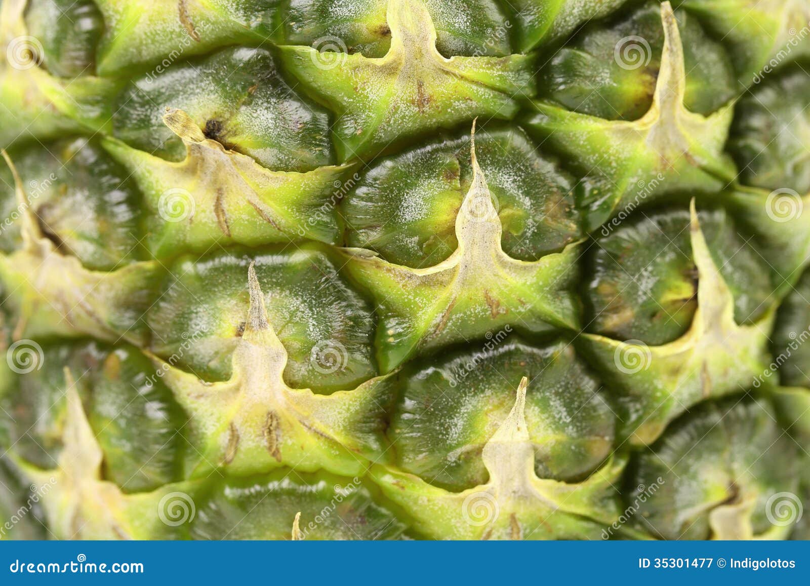 Background of Pineapple Fruit. Close Up Stock Image - Image of healthy ...