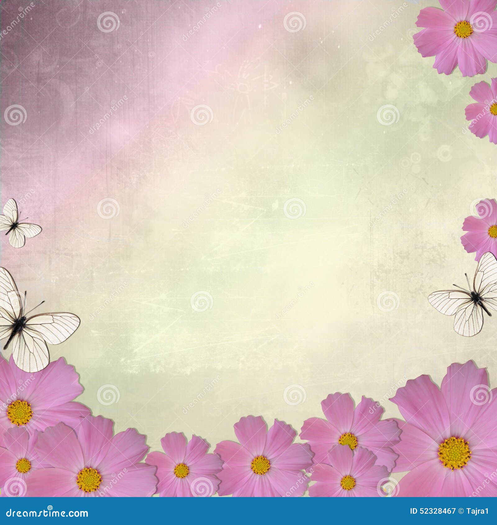 Background with pink daisy stock illustration. Illustration of border ...