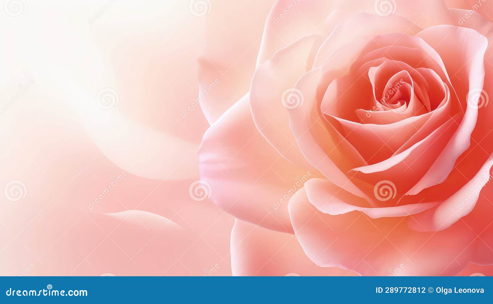 Roses banner stock illustration. Illustration of foliage - 289772812