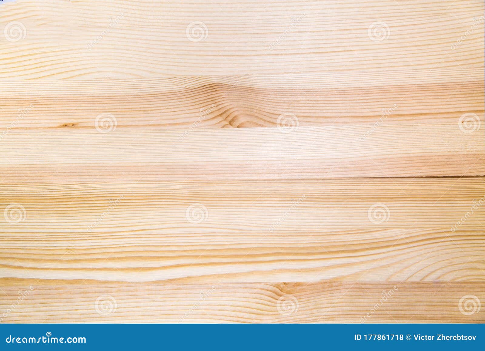 Structure Of Dry Trees And Bark Of Living Trees. Brown Shades Stock ...