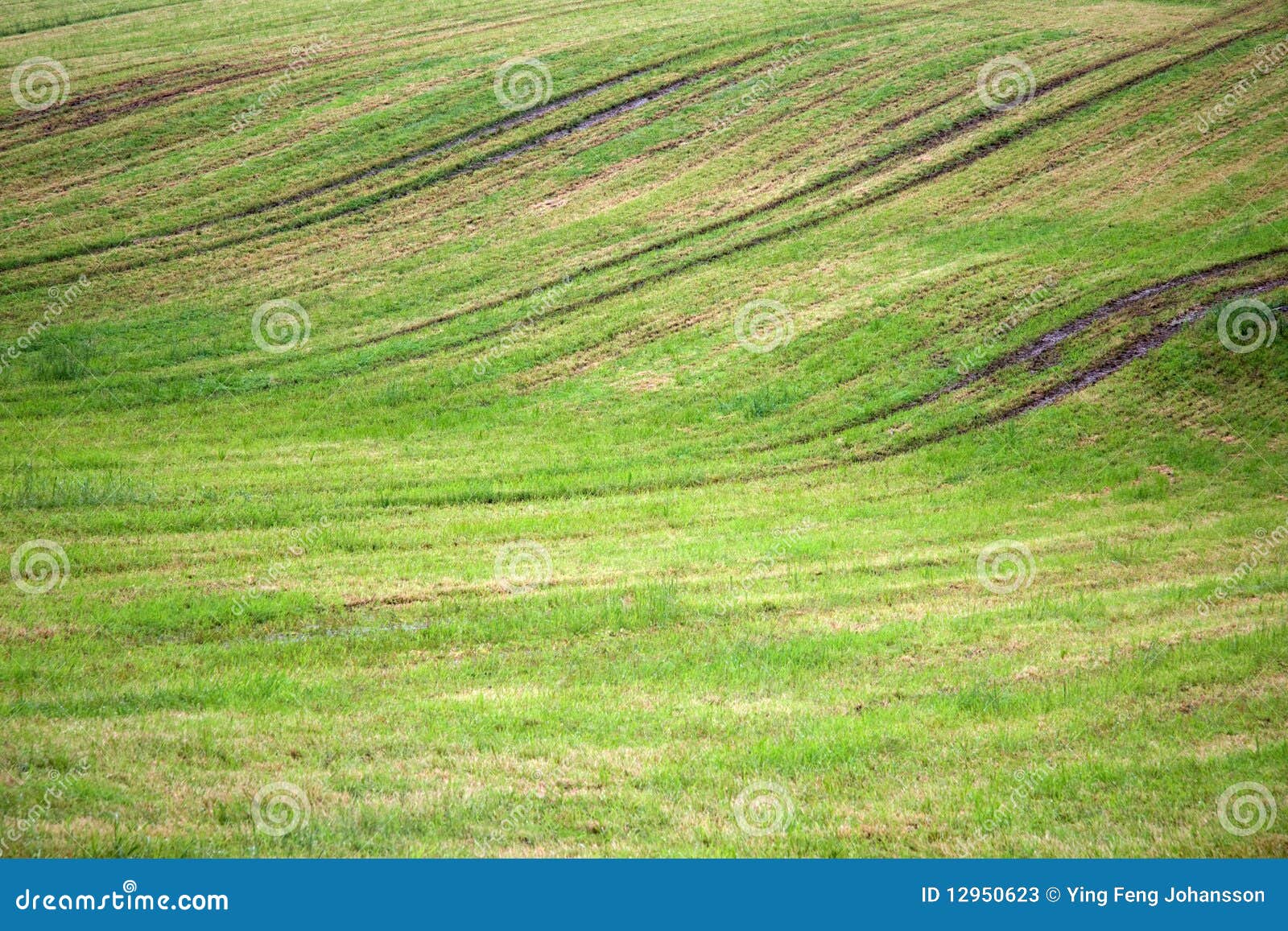 Background of Plowed Field with Grass Stock Image - Image of lawn ...