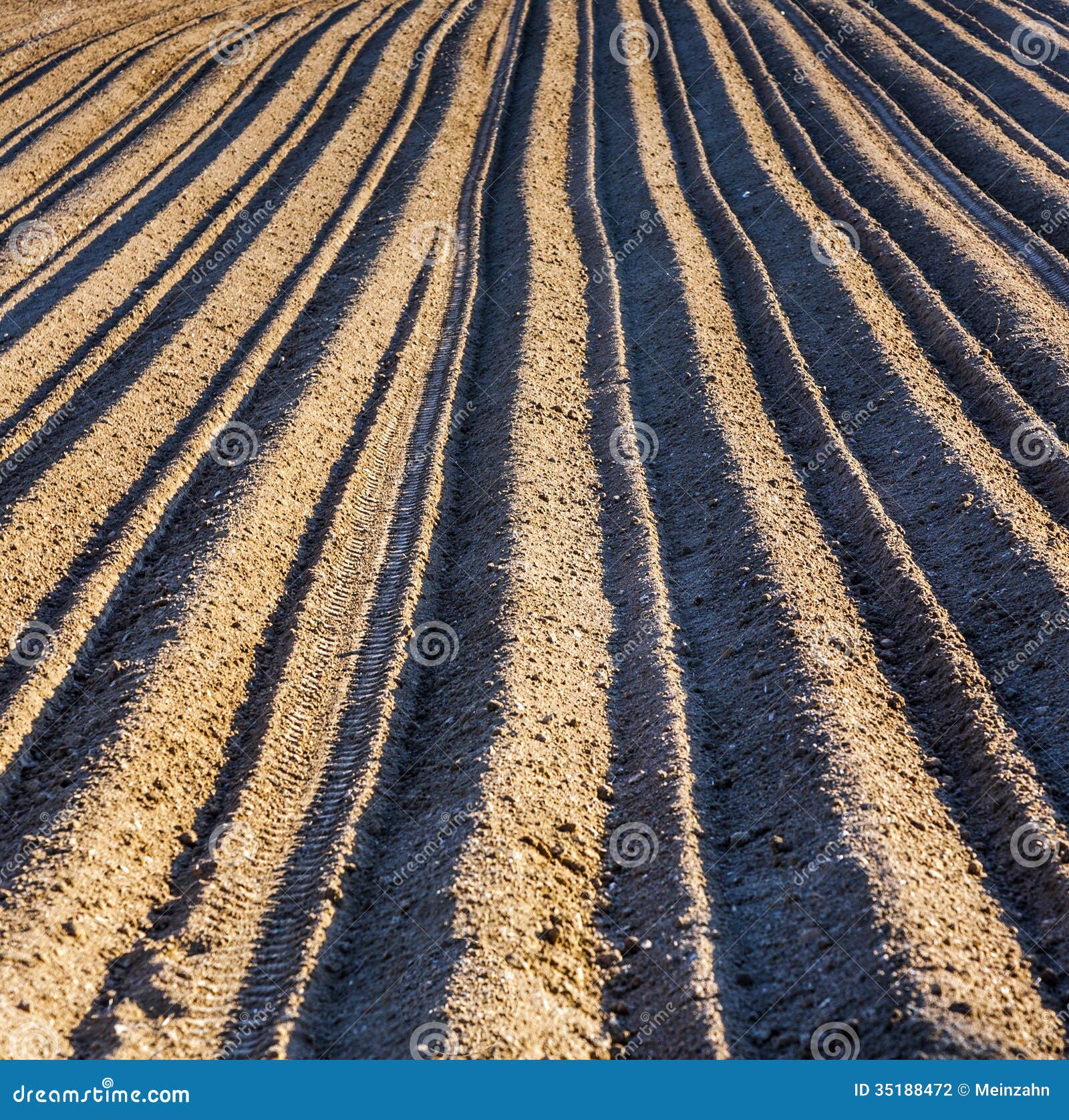 Background of plowed field stock photo. Image of grow - 35188472