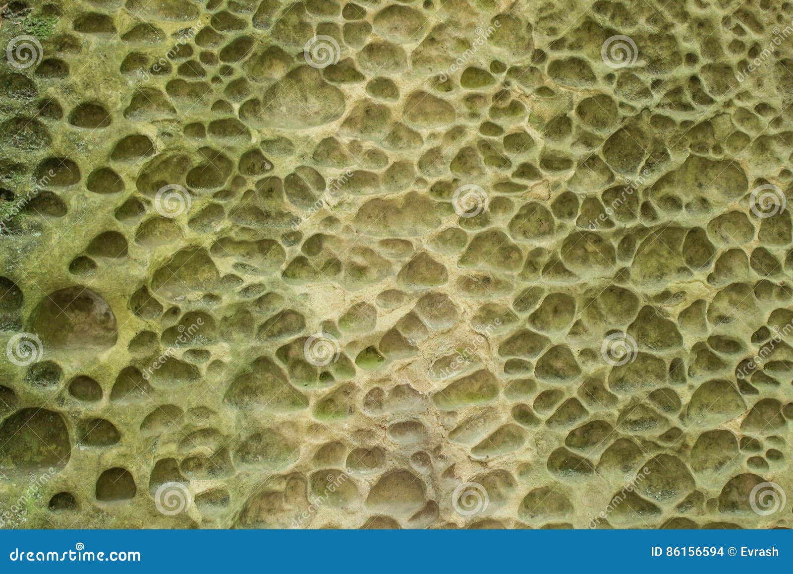 Background porous stone stock photo. Image of green, rough - 86156594
