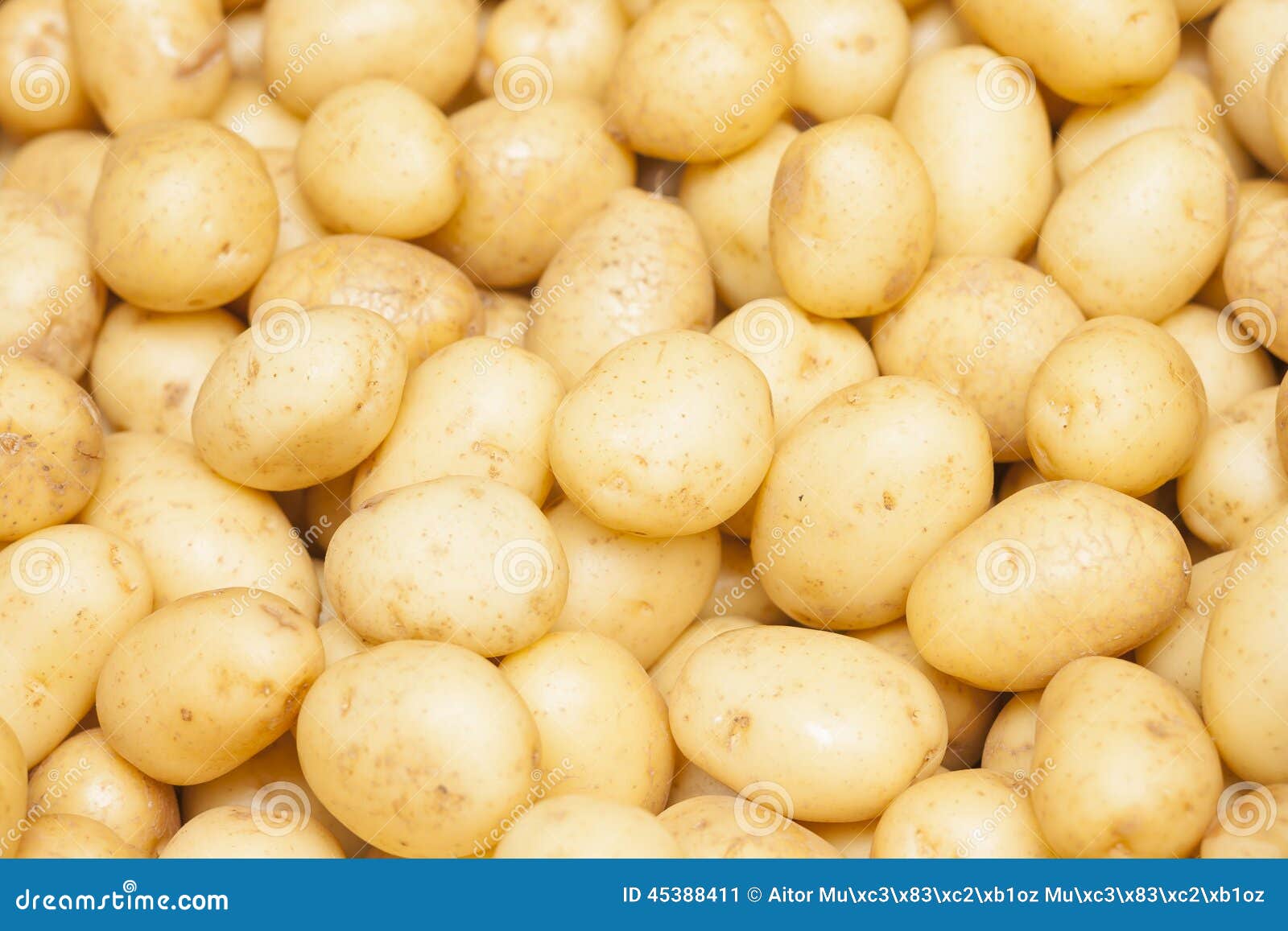 Background potatoes stock image. Image of pile, delicious - 45388411