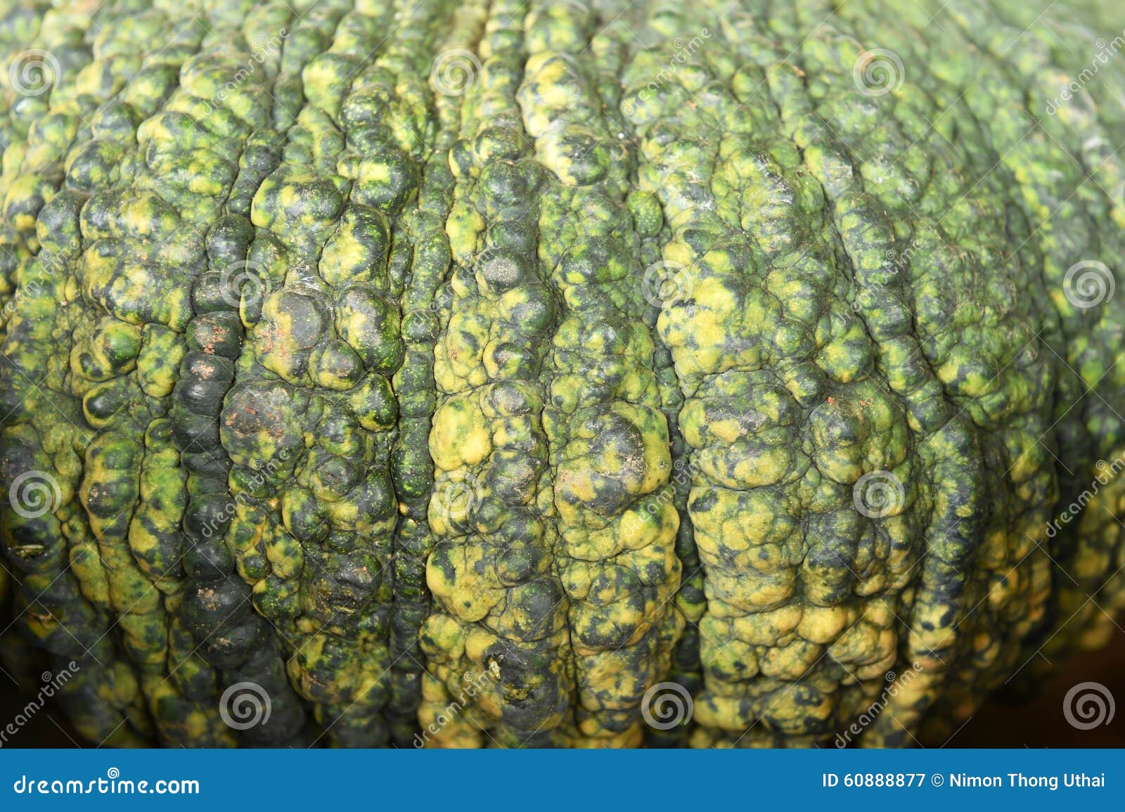 Background is Pumpkin Side View Stock Image - Image of halloween ...