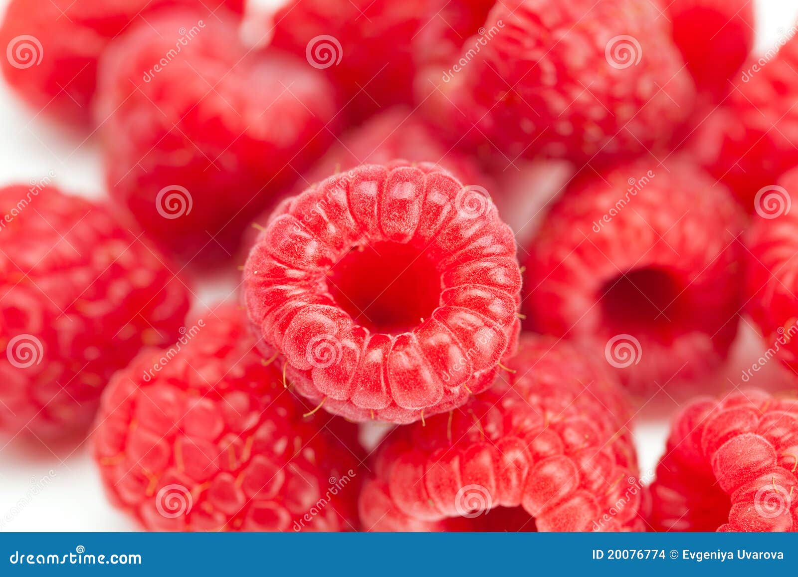Background of raspberry stock photo. Image of leaves - 20076774