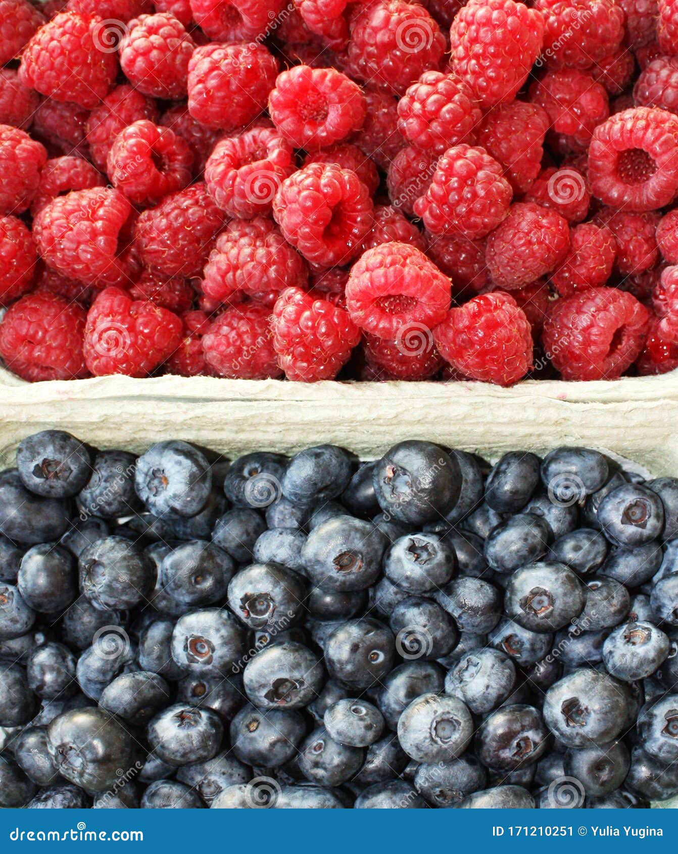 Background of Raspberry and Blueberry in Packing Containers, Cardboard ...