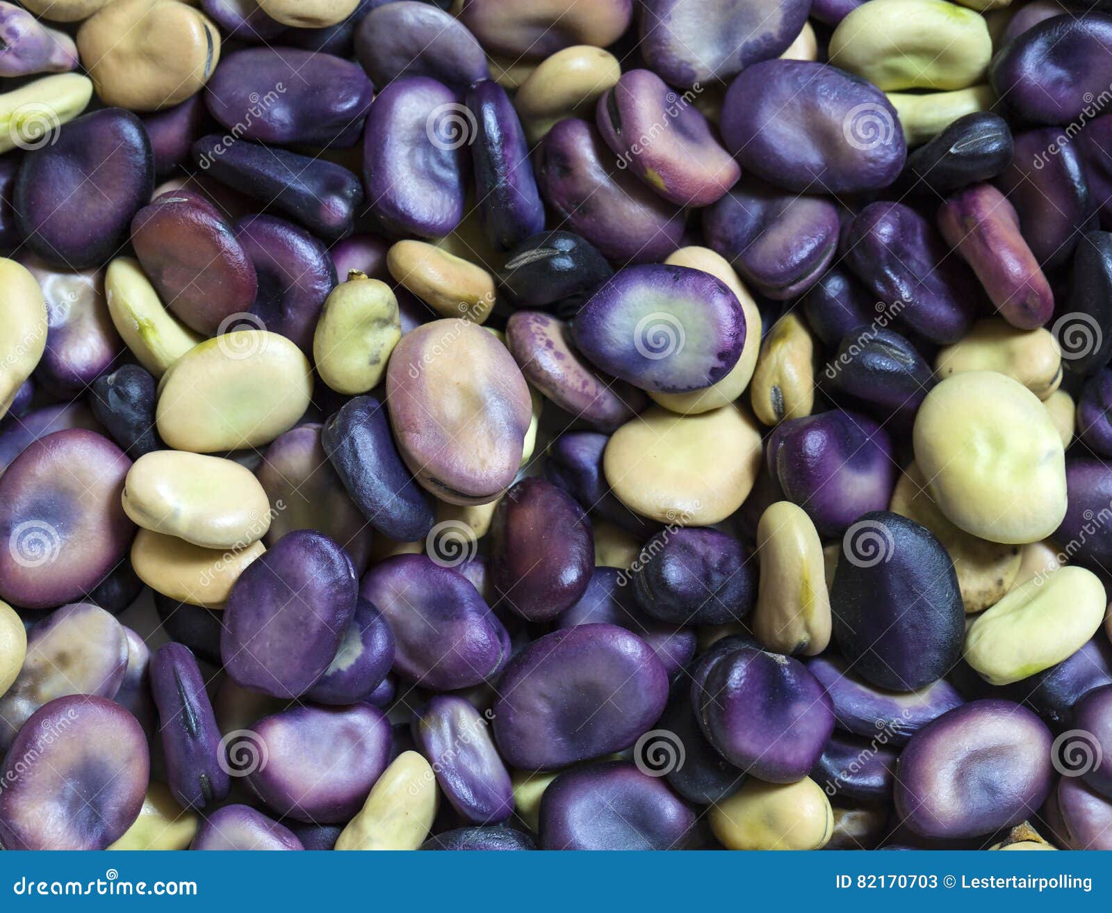 Background of raw beans stock image. Image of beans, nutritious - 82170703