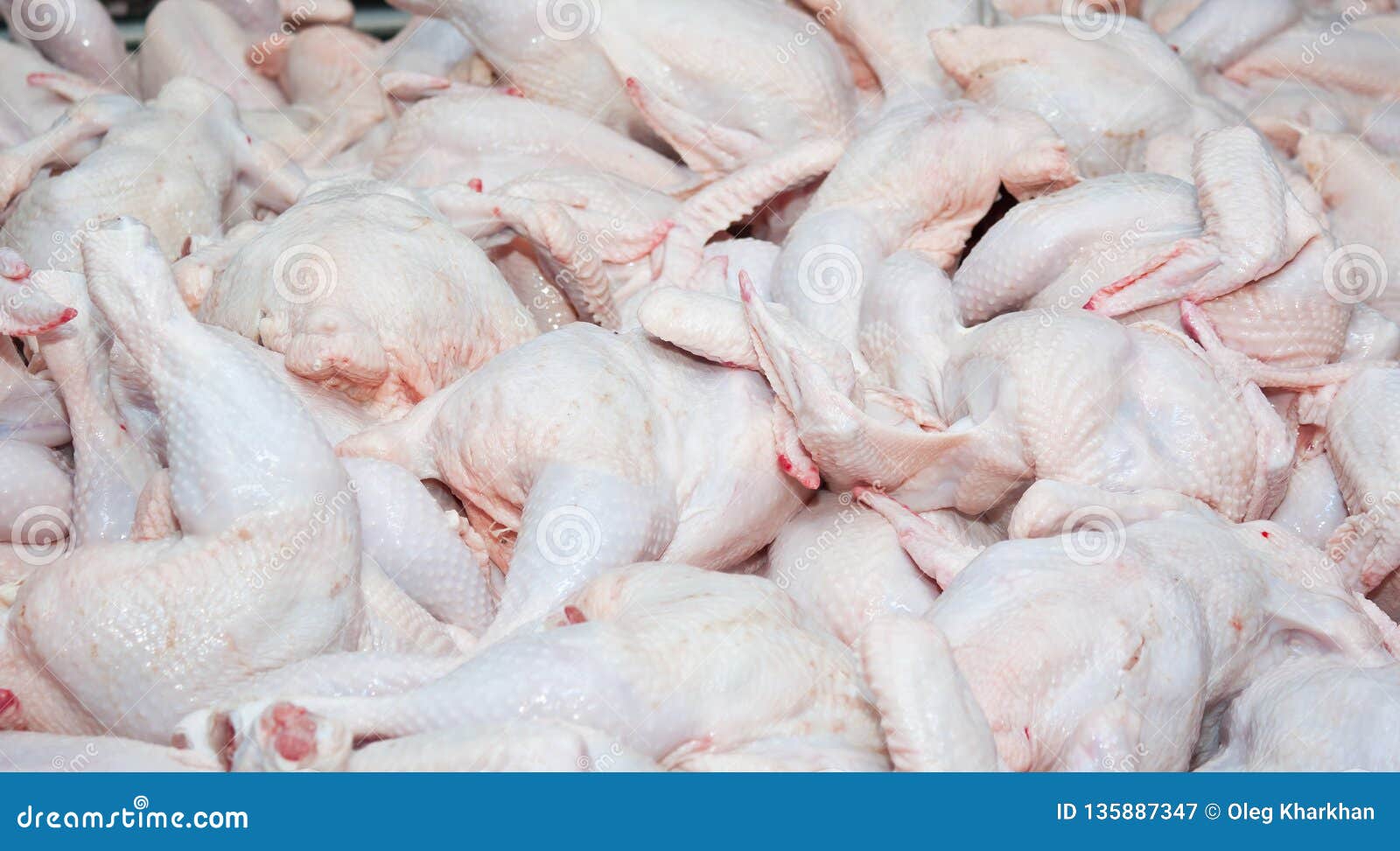 Raw carcasses of chickens stock image. Image of poultry - 135887347