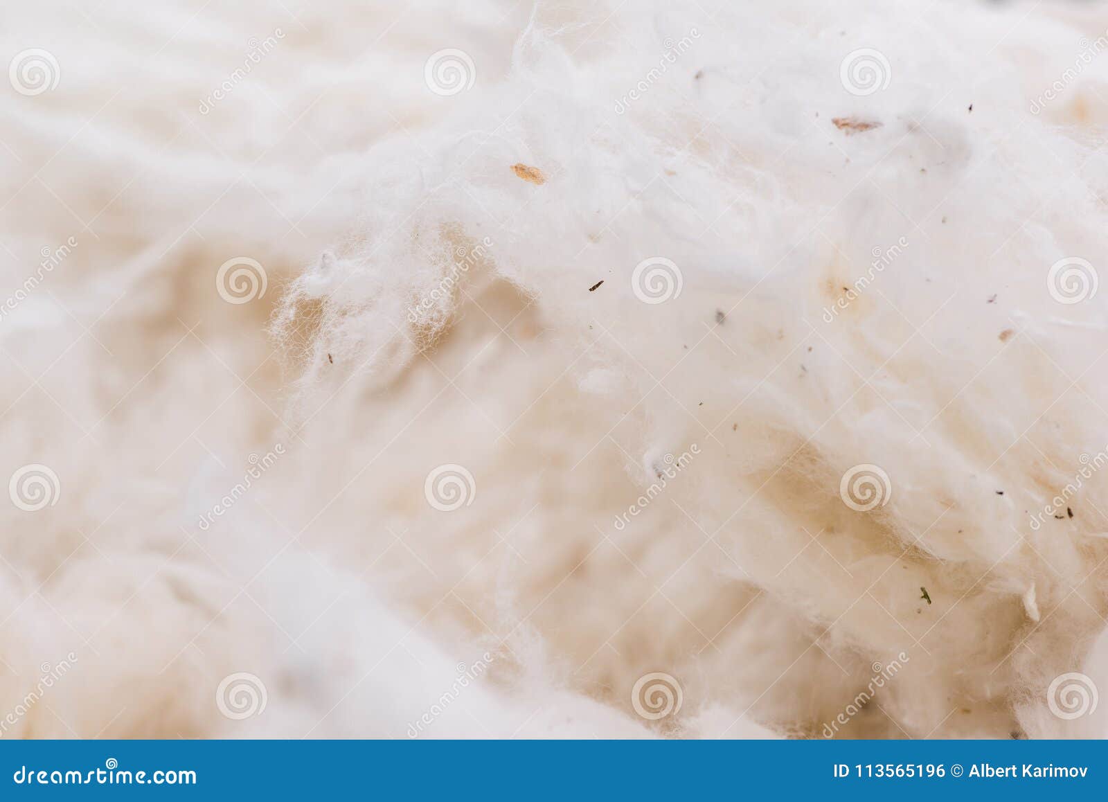 Background of raw cotton stock photo. Image of closeup - 113565196