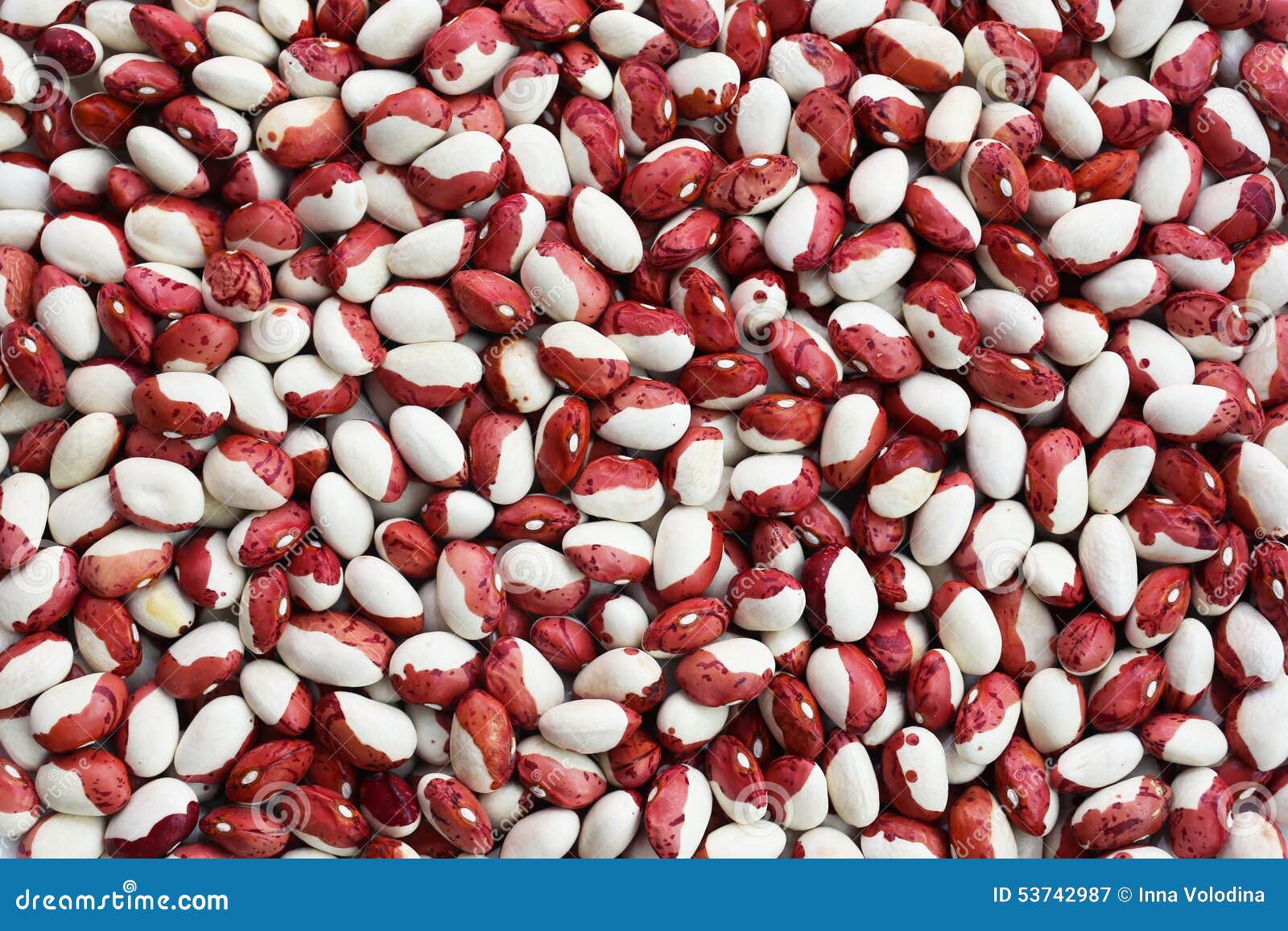 Background of Raw Mottled Beans Stock Image - Image of brown, health ...