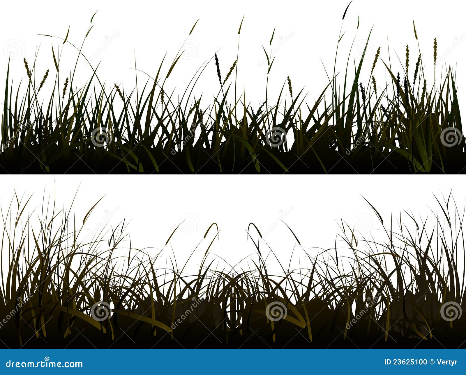 Background of Realistic Meadow Grass/ Stock Vector - Illustration of ...