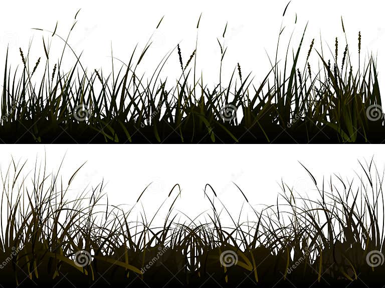 Background of Realistic Meadow Grass/ Stock Vector - Illustration of ...