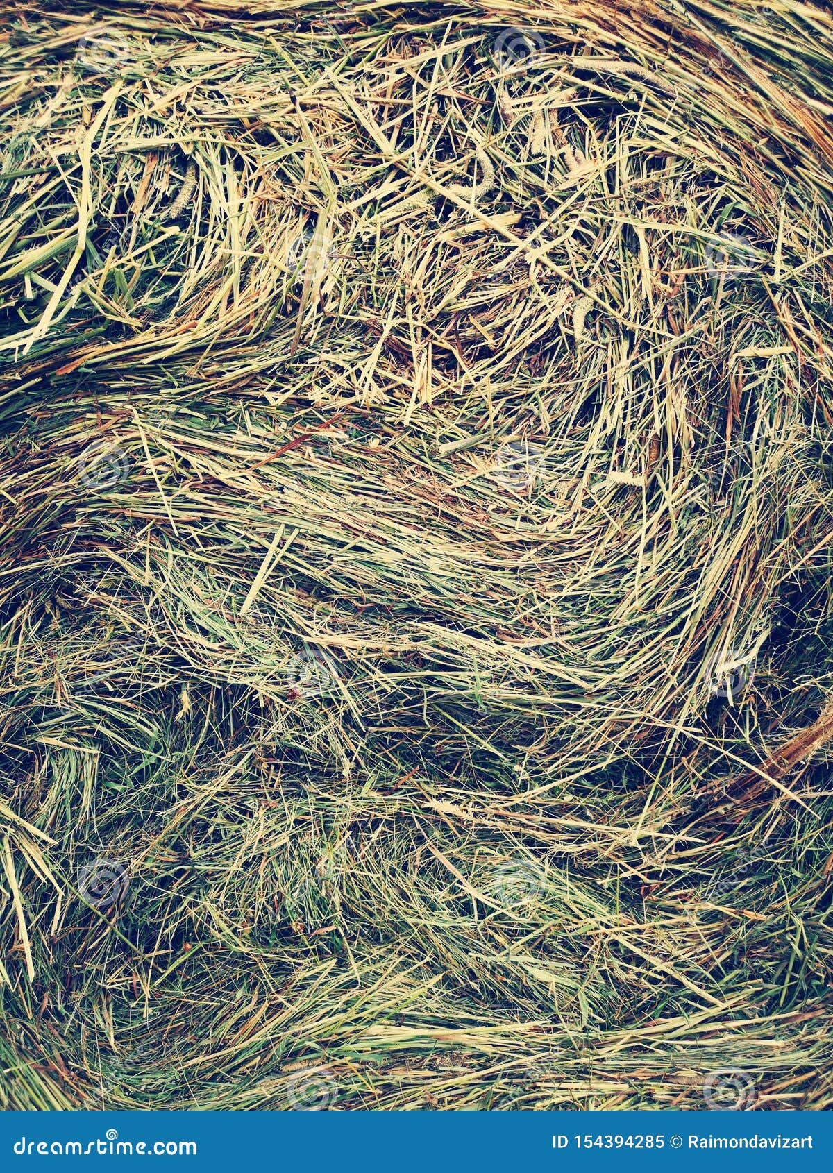 Background of a Recently Cut Hay Texture Stock Image - Image of harvest ...
