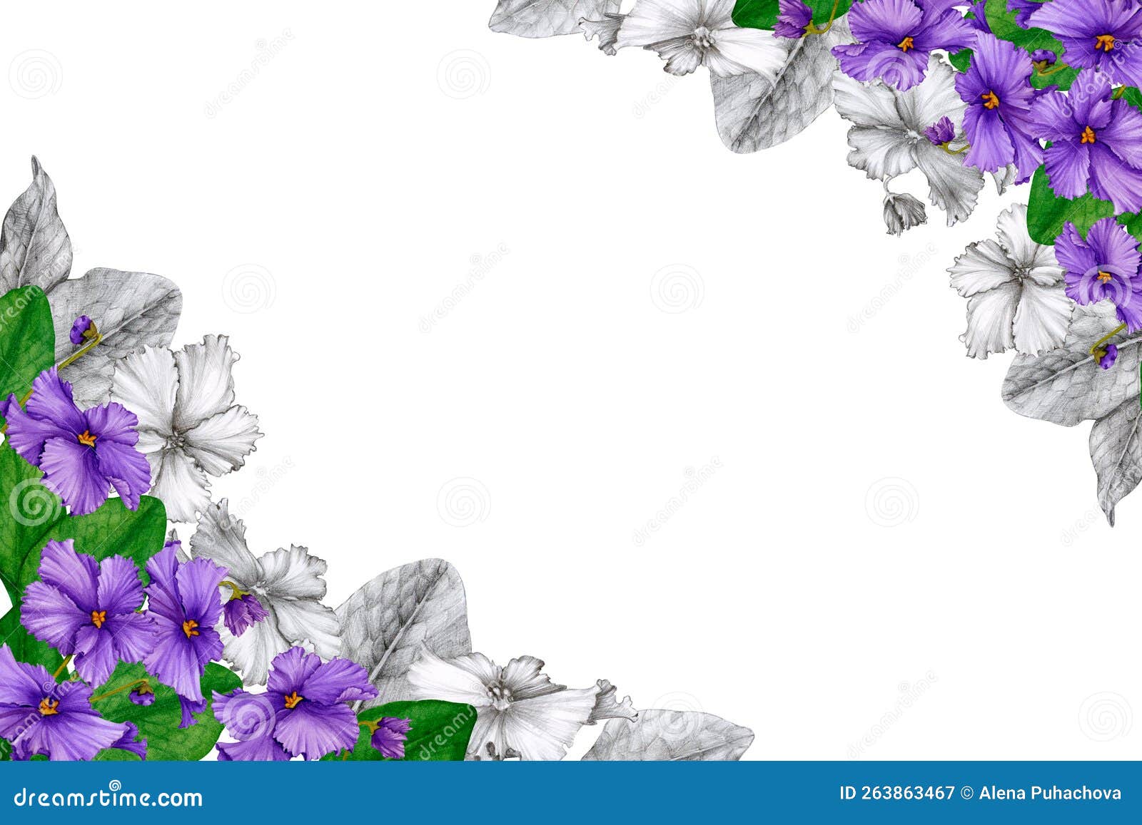 Background. Rectangular Floral Frame of African Violets. Hand Drawn ...
