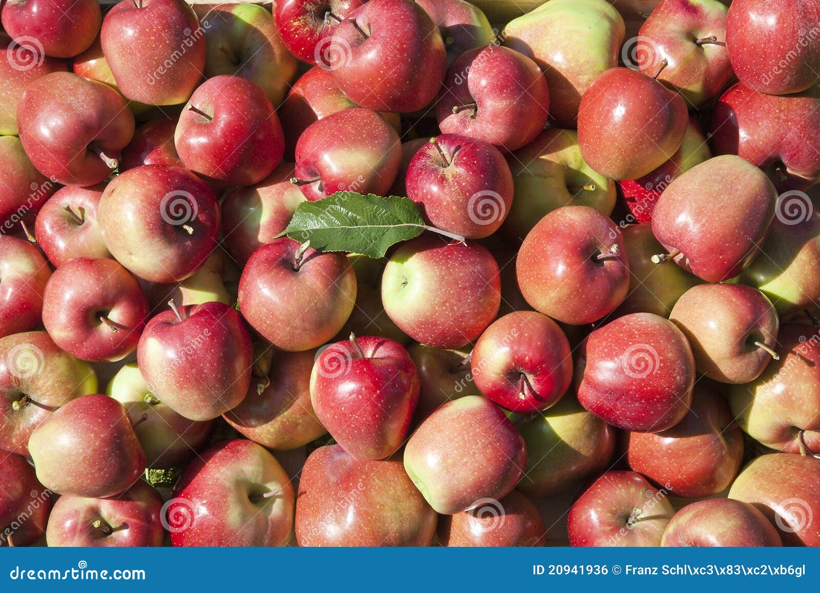Background of red apples stock photo. Image of nutritious - 20941936