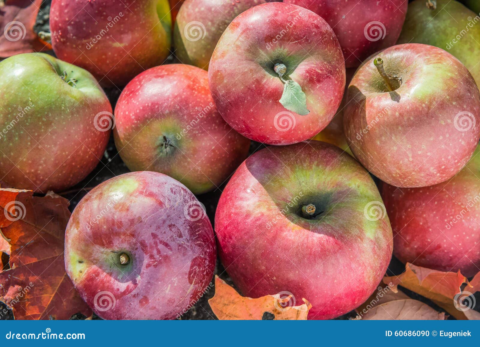 Background of Red Apples with Autumn Leaves. Stock Photo - Image of ...
