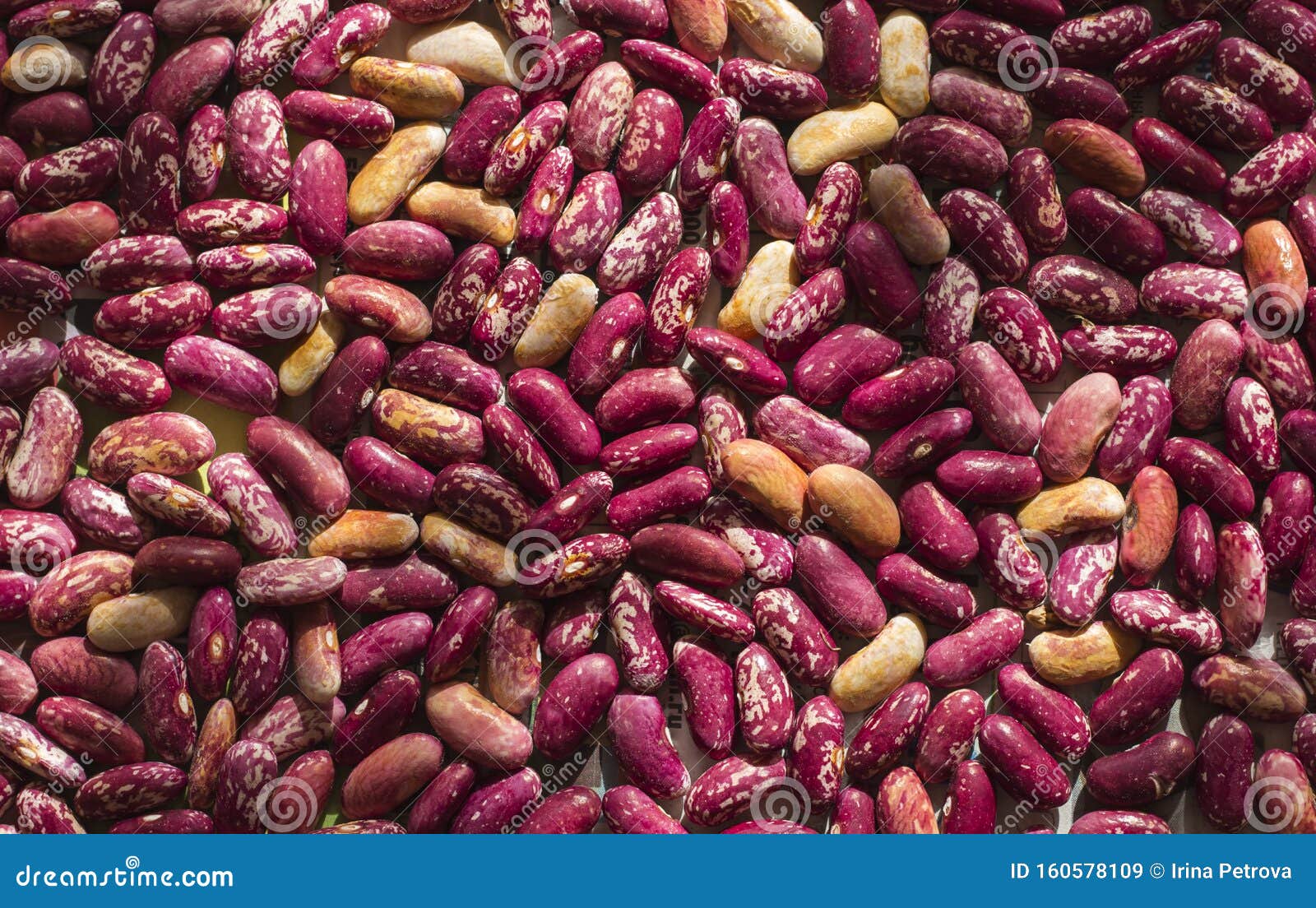 Background of Red Bean Seeds Spread on Newspaper Stock Image - Image of ...