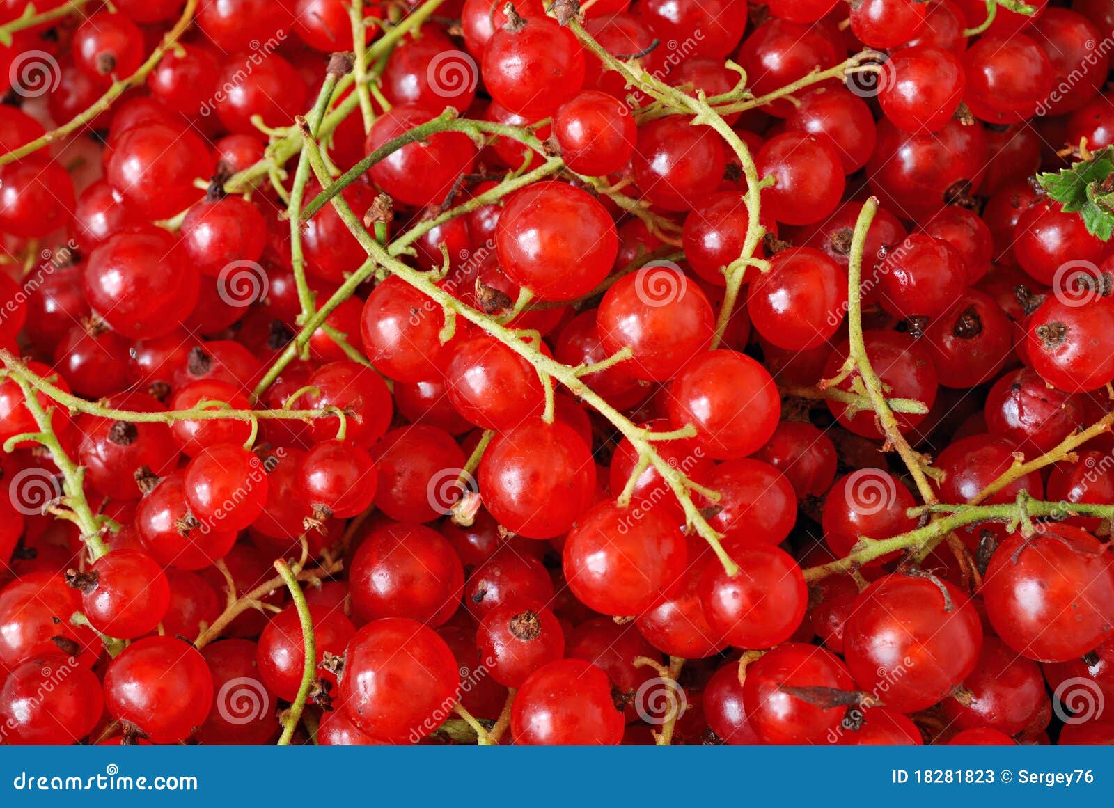 Background of red berries stock image. Image of healthful - 18281823