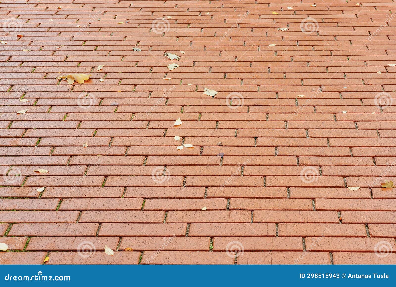 Background of Red Cobblestones with Leaves in Autumn Stock Image ...