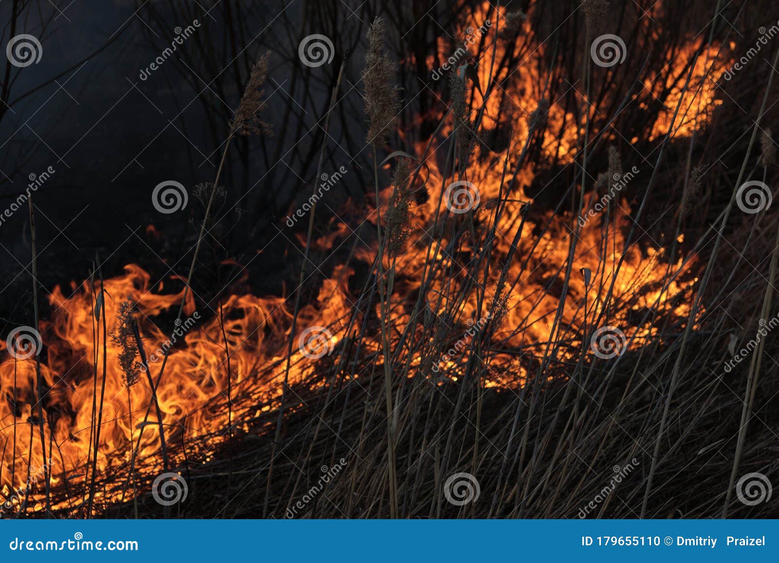 Background, Red Flames Strong Fire, Burning Dry Grass, Emergency Stock ...