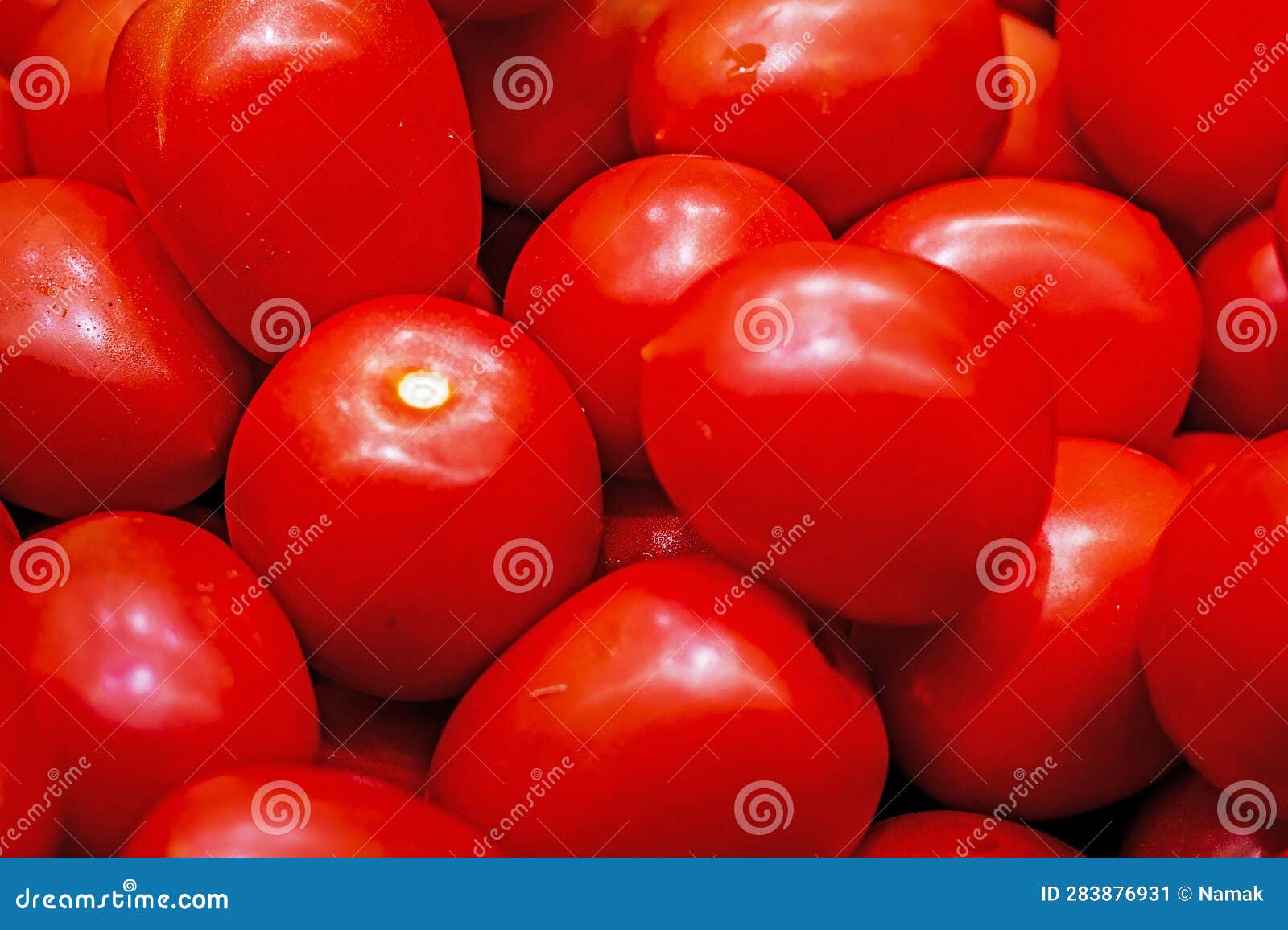 Background of Red Hard Varieties of Tomatoes. Stock Image - Image of ...