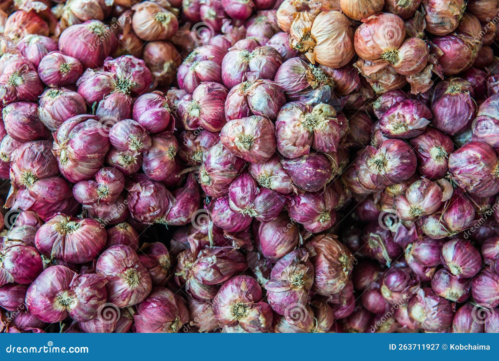 Background of red onion stock image. Image of produce - 263711927