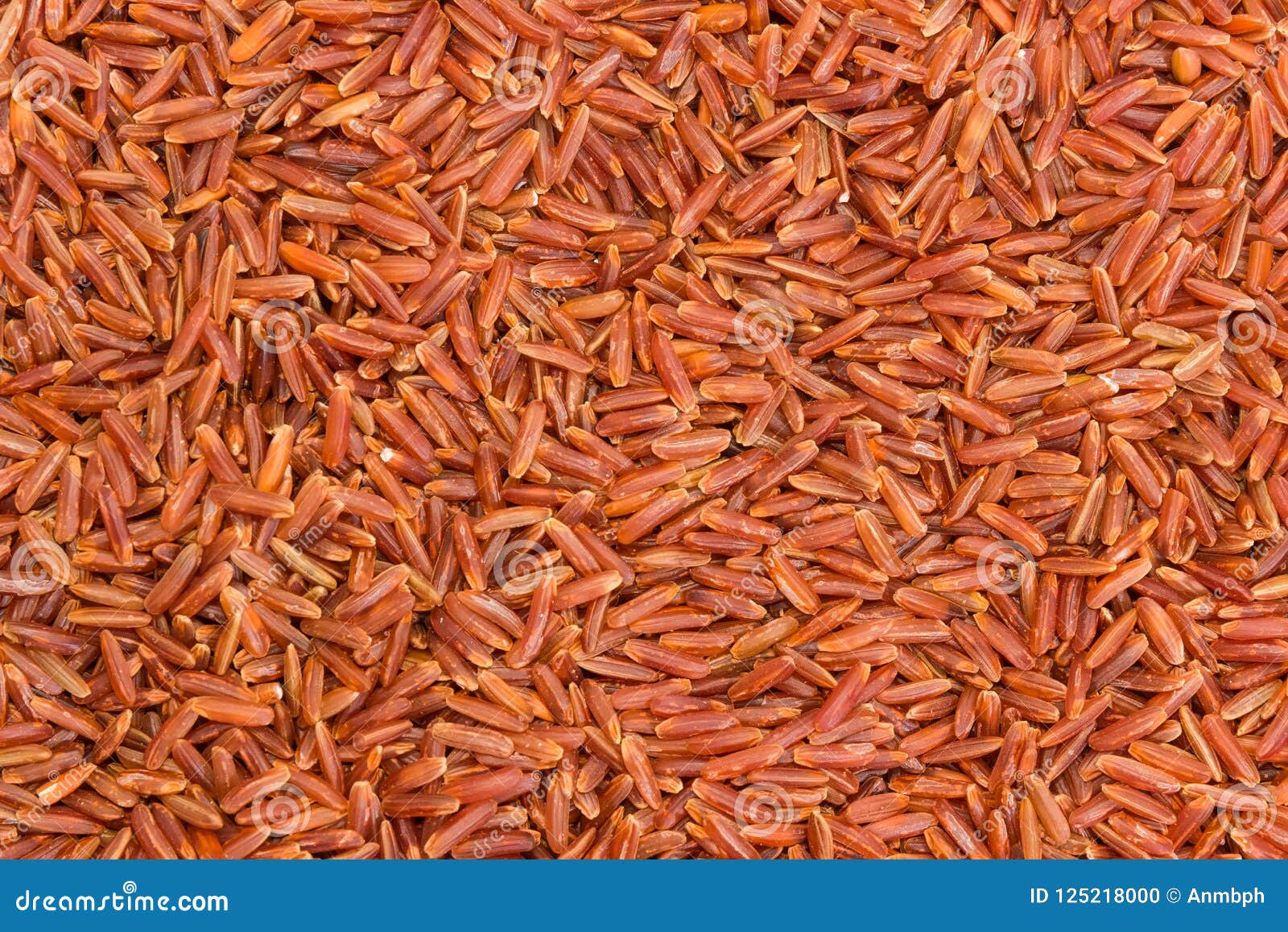 Background of the Red Rice Close-up Stock Photo - Image of anthocyanin ...