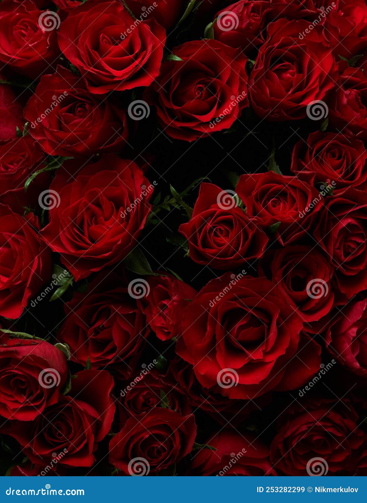 Background of Red Roses Flowers Stock Image - Image of romantic, dark ...