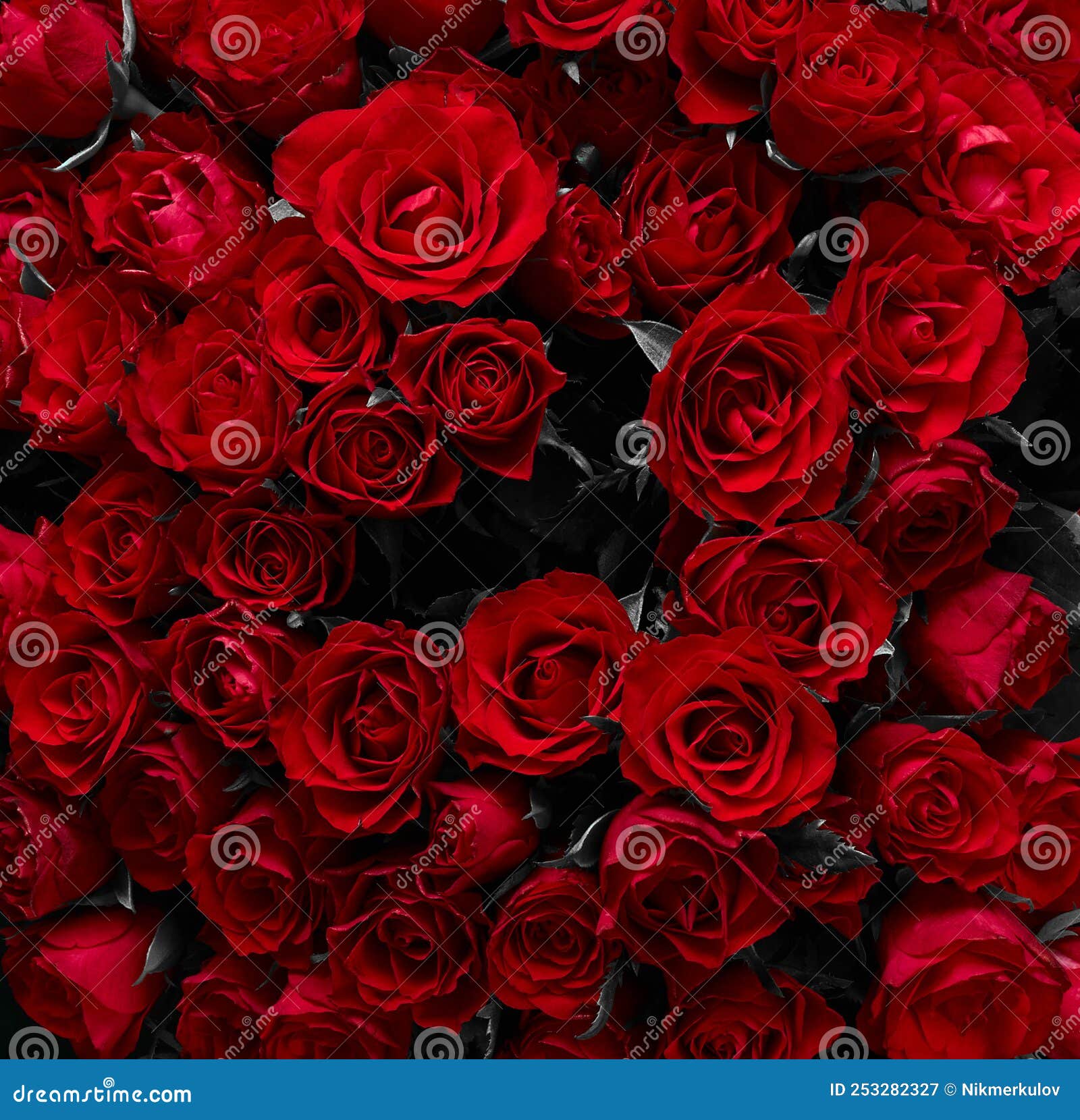 Background of Red Roses Flowers Stock Image - Image of nature, petals ...