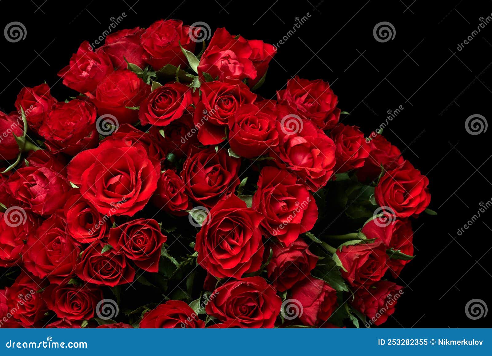 Background of Red Roses Flowers Stock Image - Image of blossom, petals ...