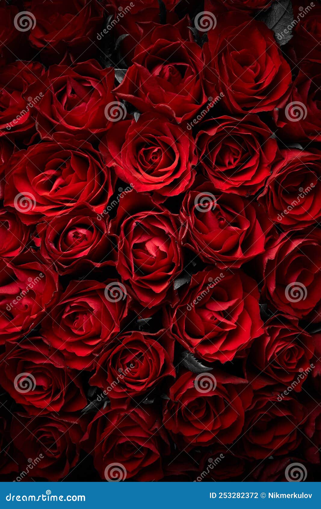 Background of Red Roses Flowers Stock Photo - Image of bouquet, grunge ...