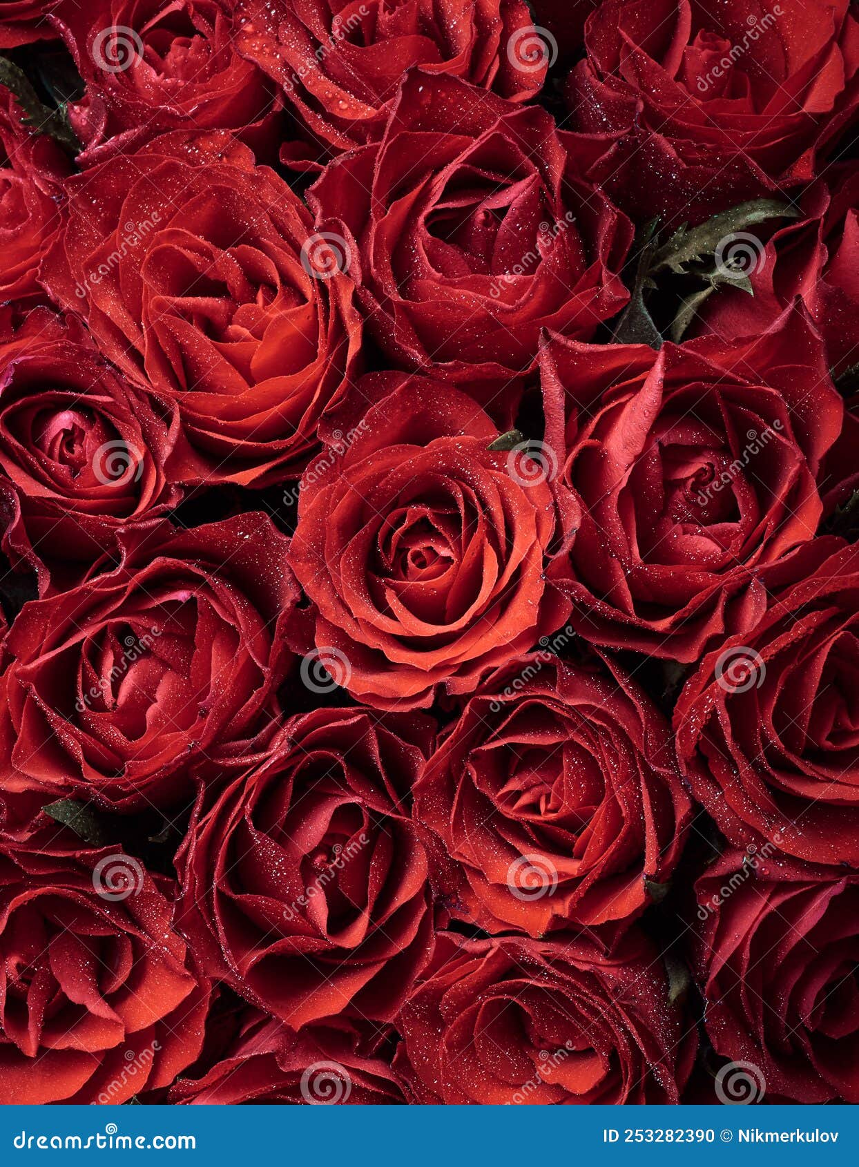 Background of Red Roses Flowers Stock Photo - Image of death, beauty ...