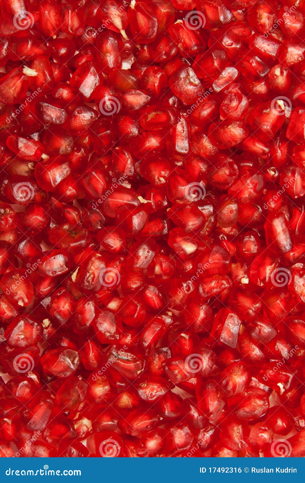 Background of red seeds stock photo. Image of pomegranate - 17492316
